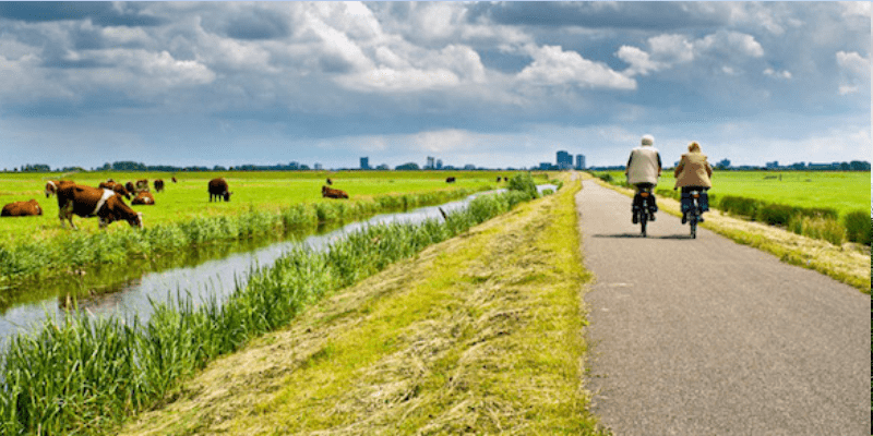 6 of the best nature destinations in the Netherlands