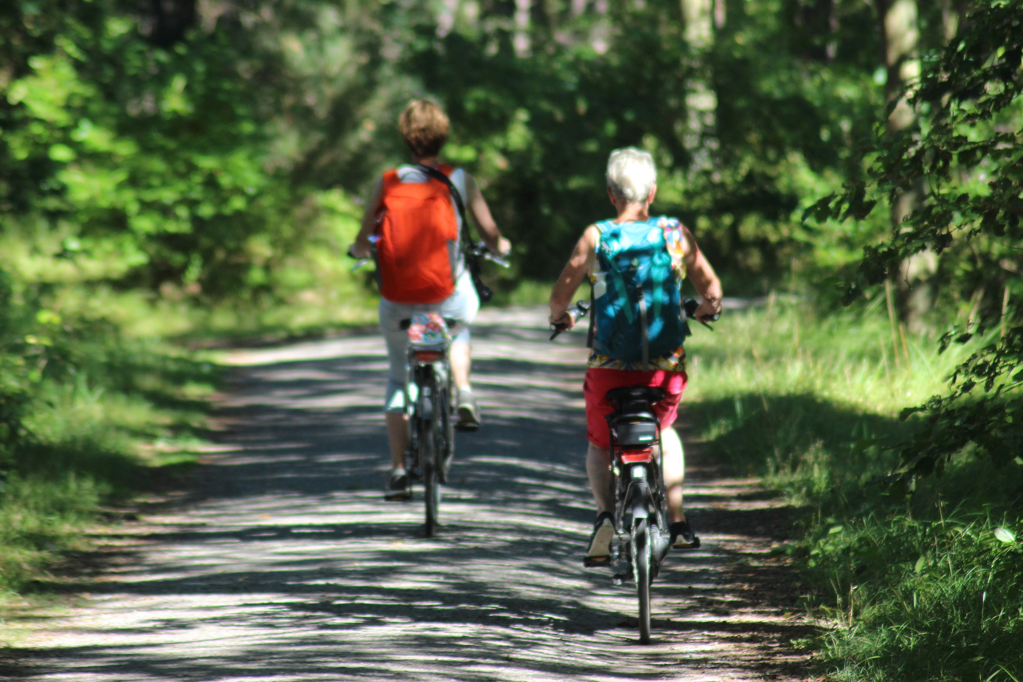 How to organize your own group tour with Boat Bike Tours