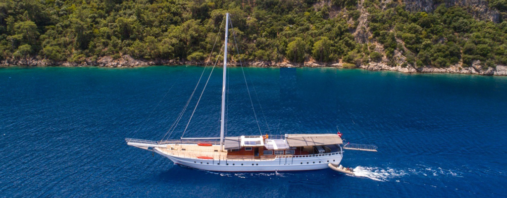 Milo M | Boat Bike Tours