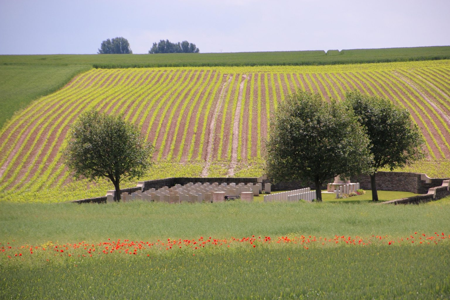 Belgium & France: Through Flanders Fields and along the Somme