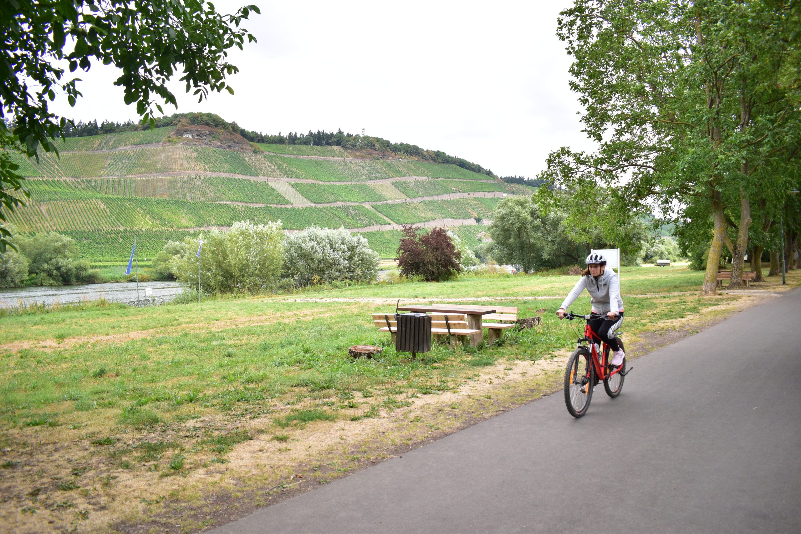 Video: Boat Bike Tour through Germany, Luxembourg, and France | Boat Bike Tours